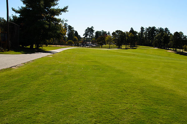 Solarfast™ Lawn Paint | Solarogen, LLC