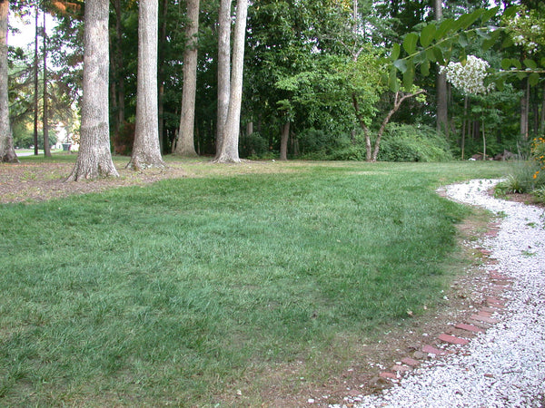 Solarfast™ Green Lawn Paint | Solarogen, LLC